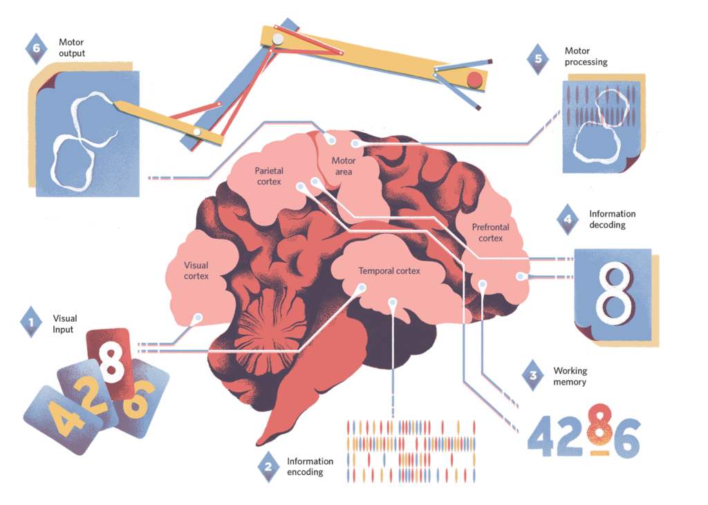 Neuromorphic Chips for Tourism - Ai Love Tourism